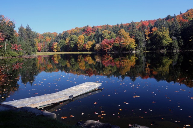 Buck Lake Public Landing Fall – Limberlost Forest and Wildlife Reserve