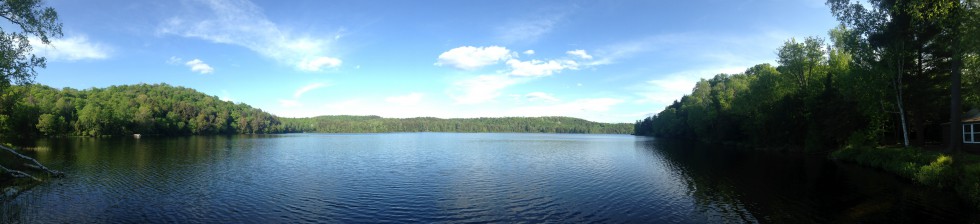 photo 3 (1) – Limberlost Forest and Wildlife Reserve