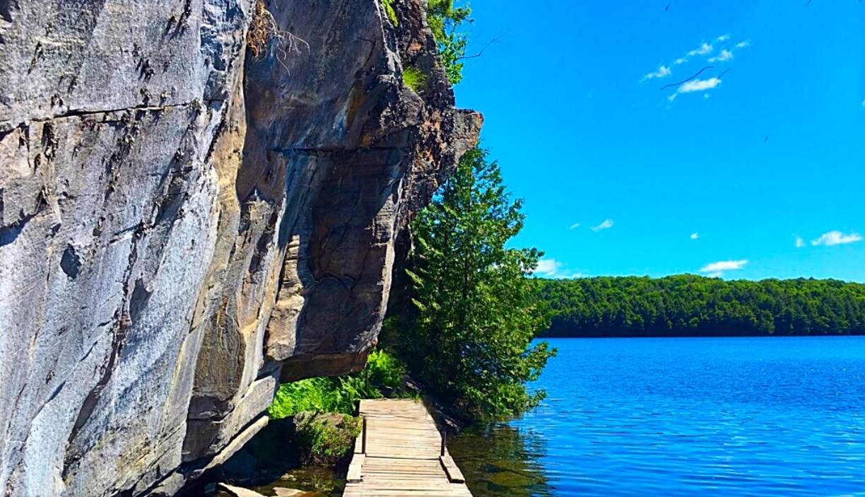 trails2 – Limberlost Forest and Wildlife Reserve