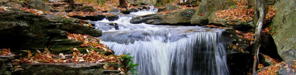 waterfall forest – Limberlost Forest and Wildlife Reserve