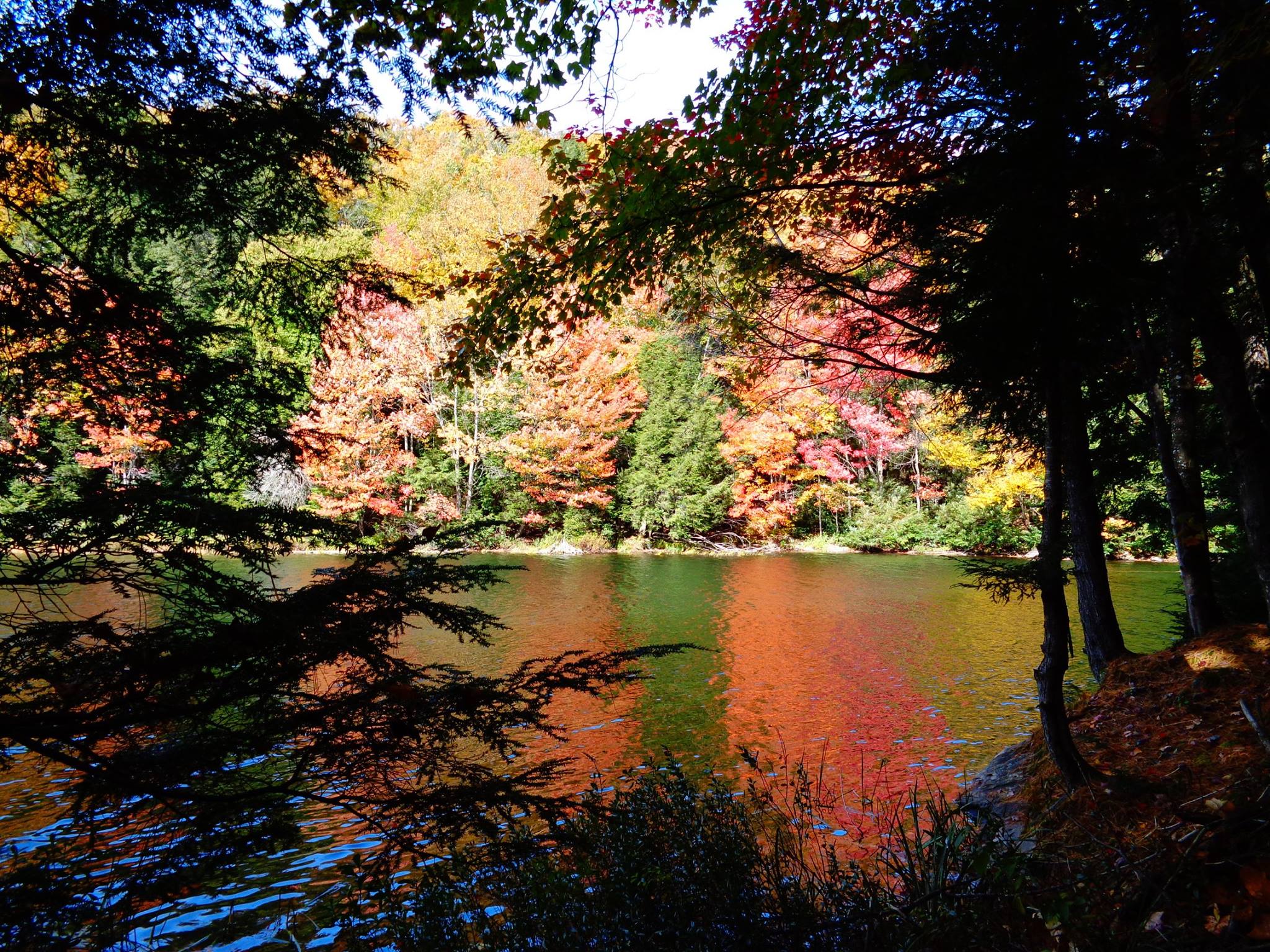 Buck Lake Trail in fall – Limberlost Forest and Wildlife Reserve