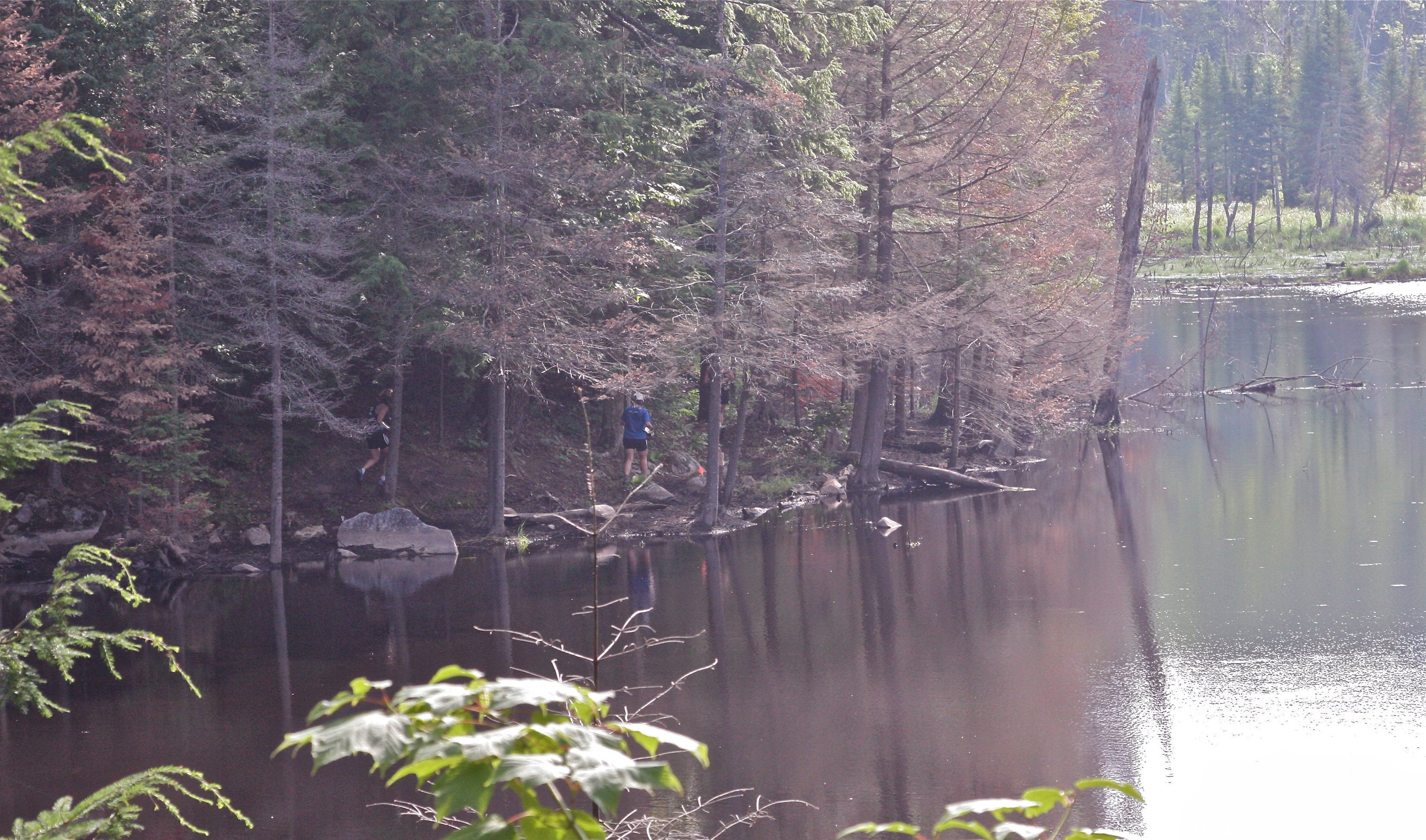 IMG_0916 – Limberlost Forest and Wildlife Reserve