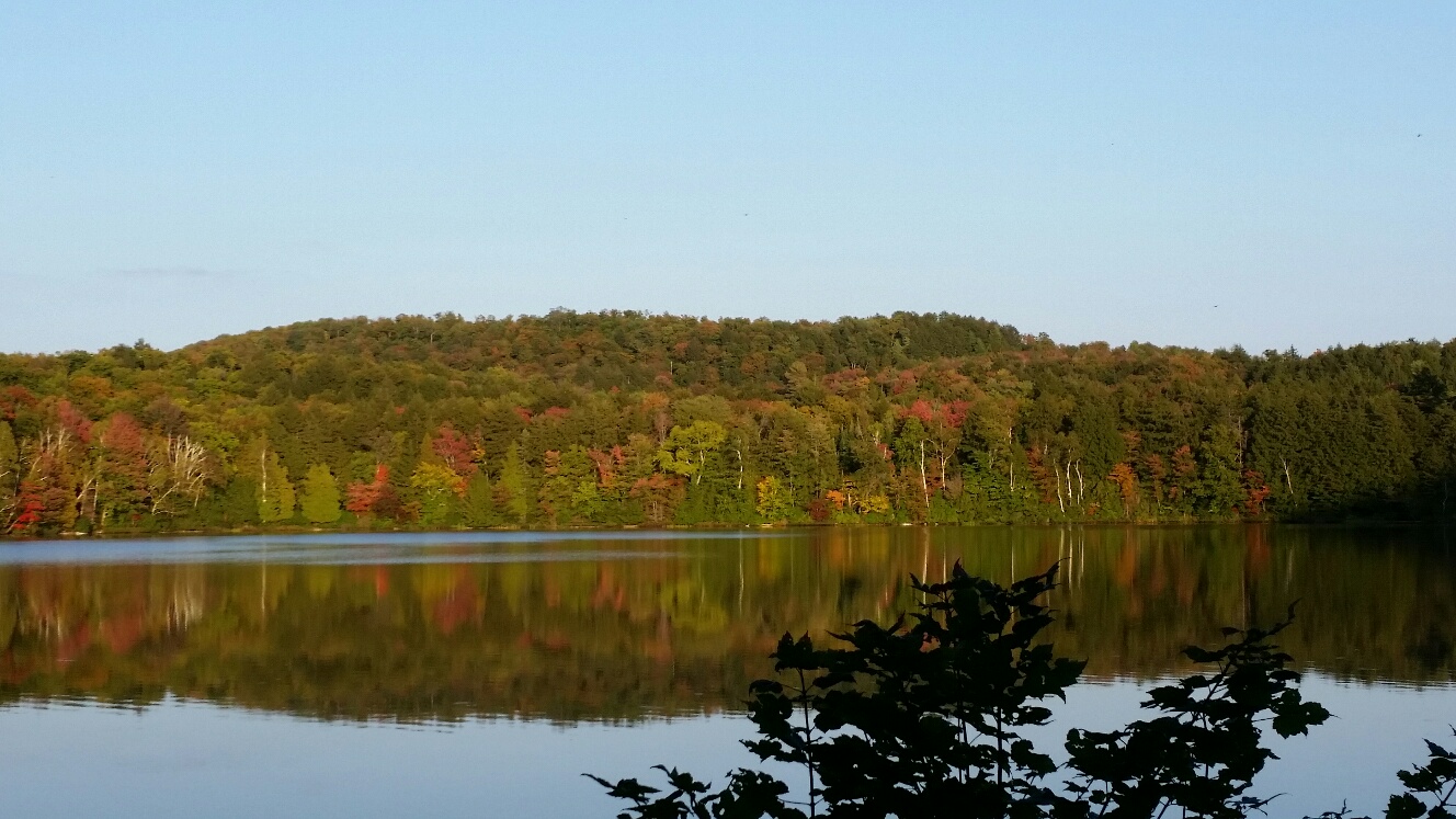 Photo Gallery – Limberlost Forest and Wildlife Reserve