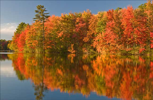 Fall – Limberlost Forest and Wildlife Reserve