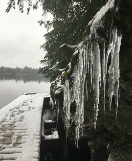 Solitaire Trail – Limberlost Forest and Wildlife Reserve