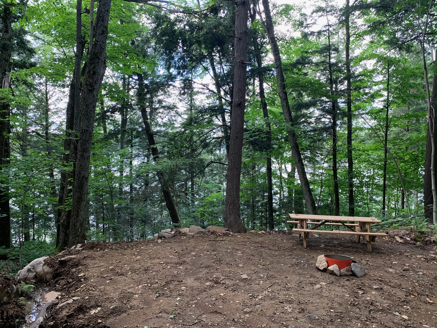 image2 – Limberlost Forest and Wildlife Reserve