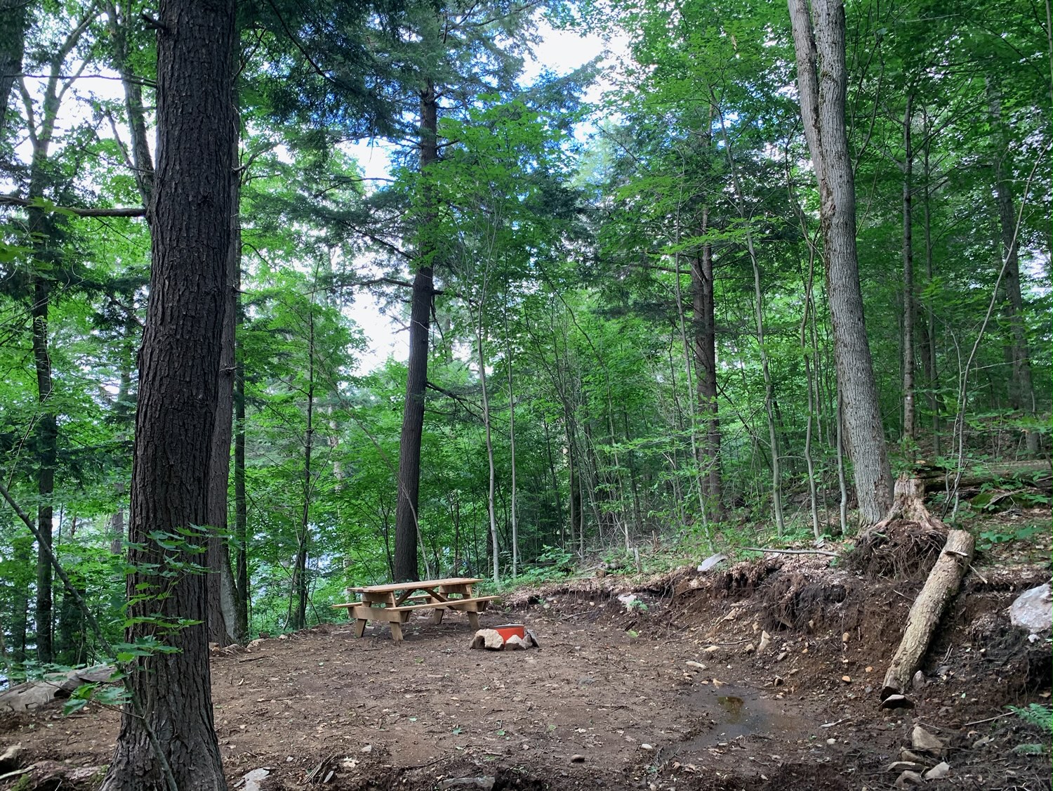 image4 – Limberlost Forest and Wildlife Reserve