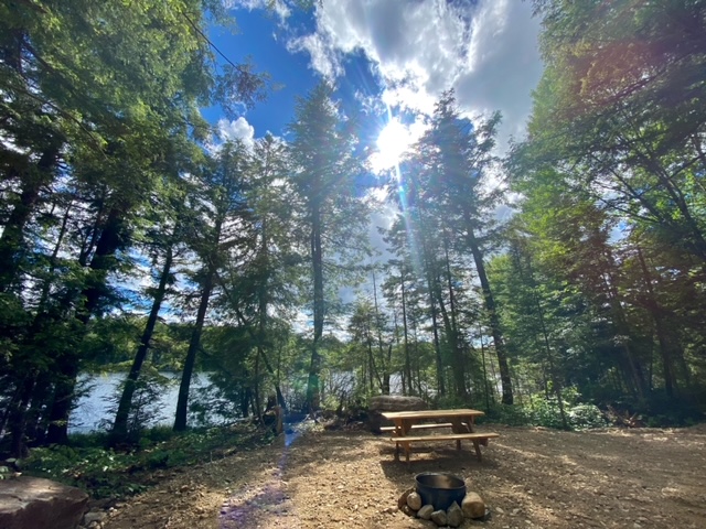 image14-4 – Limberlost Forest and Wildlife Reserve