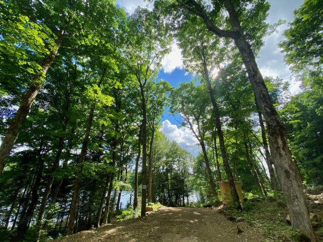 image6-4 – Limberlost Forest and Wildlife Reserve