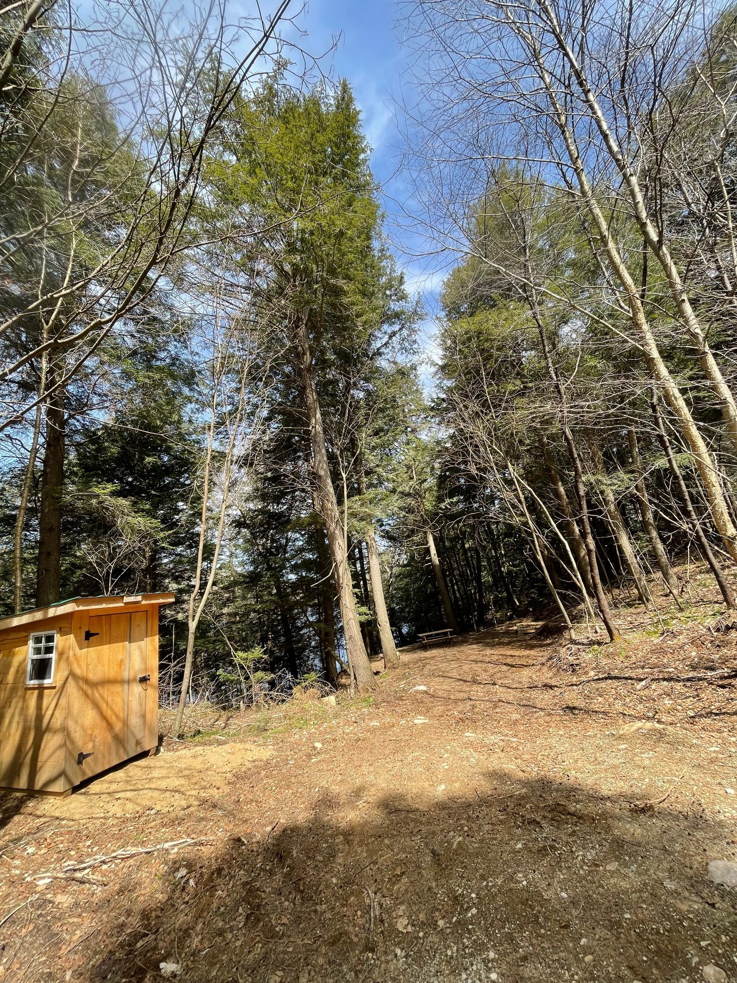 image1-1 – Limberlost Forest and Wildlife Reserve