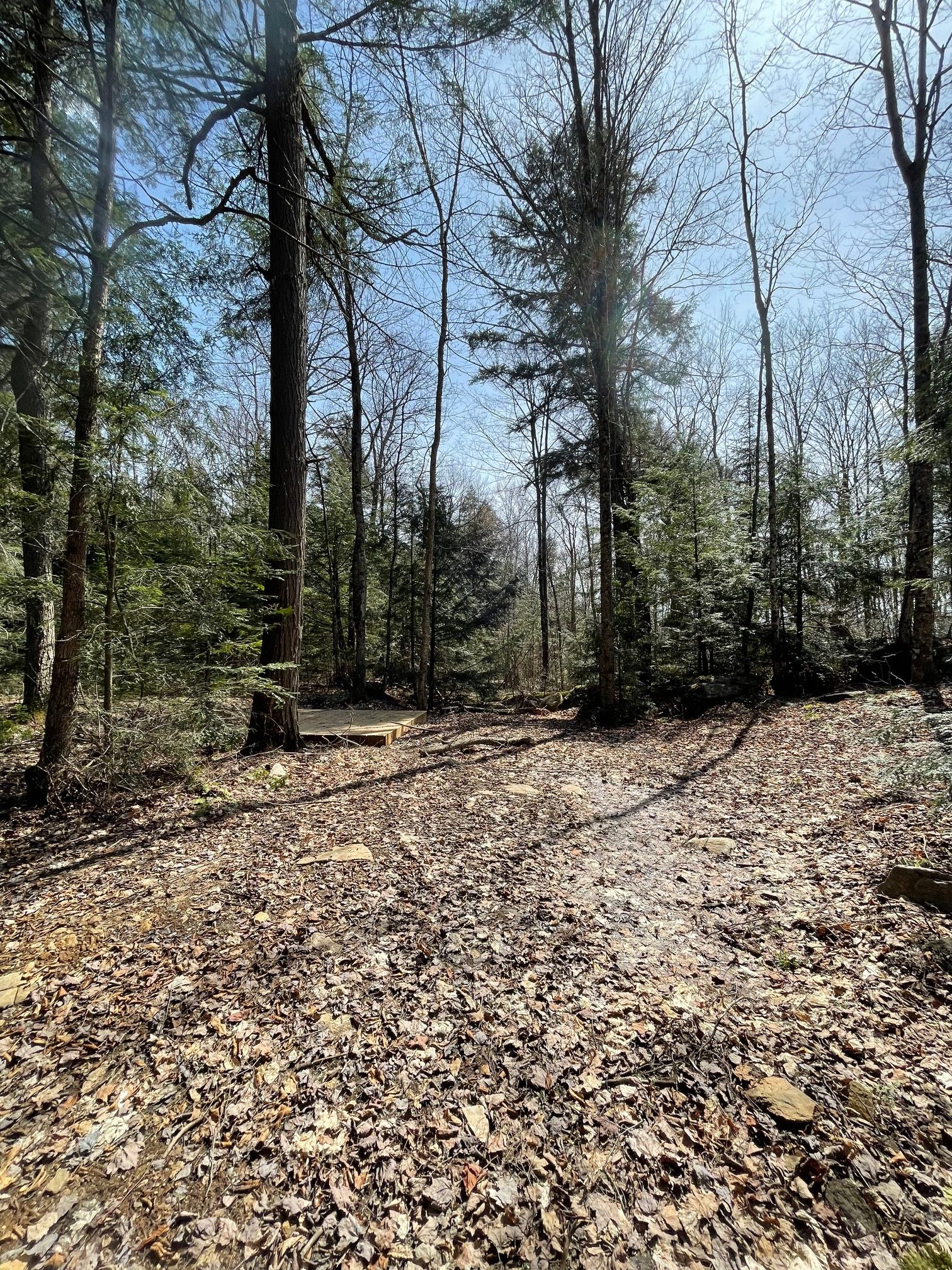 image1-6 – Limberlost Forest and Wildlife Reserve