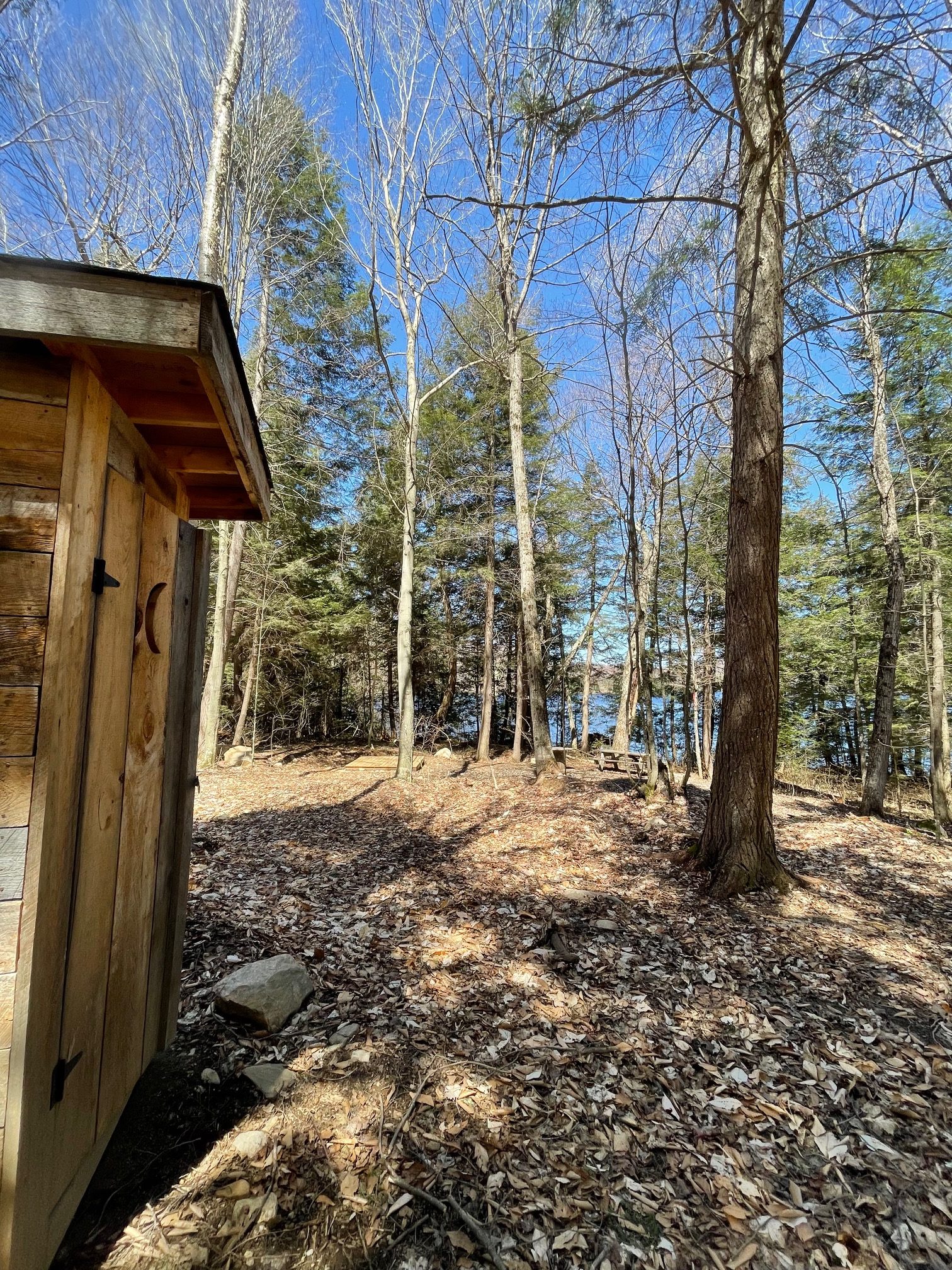 image3-11 – Limberlost Forest and Wildlife Reserve