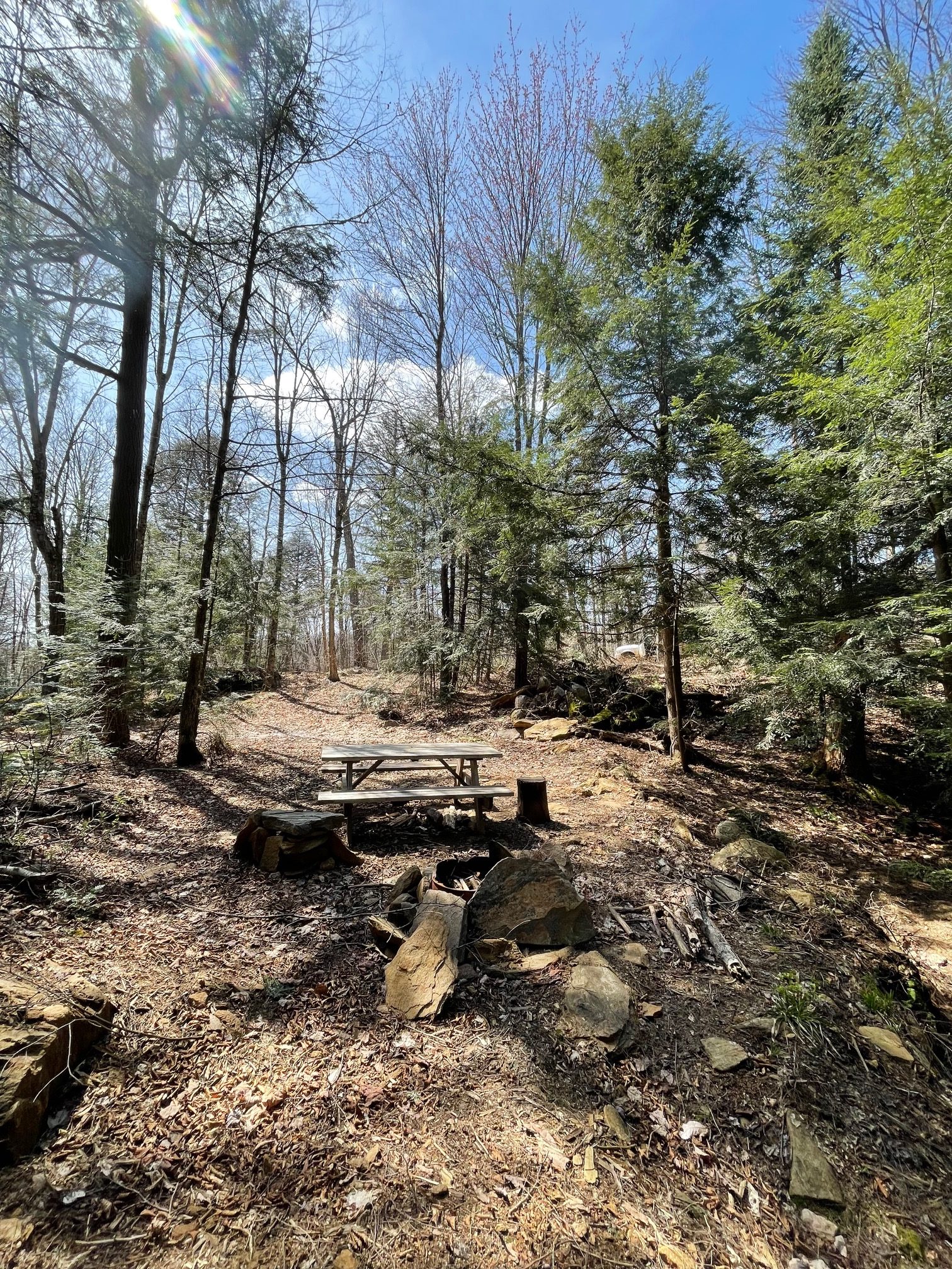 image3-6 – Limberlost Forest and Wildlife Reserve