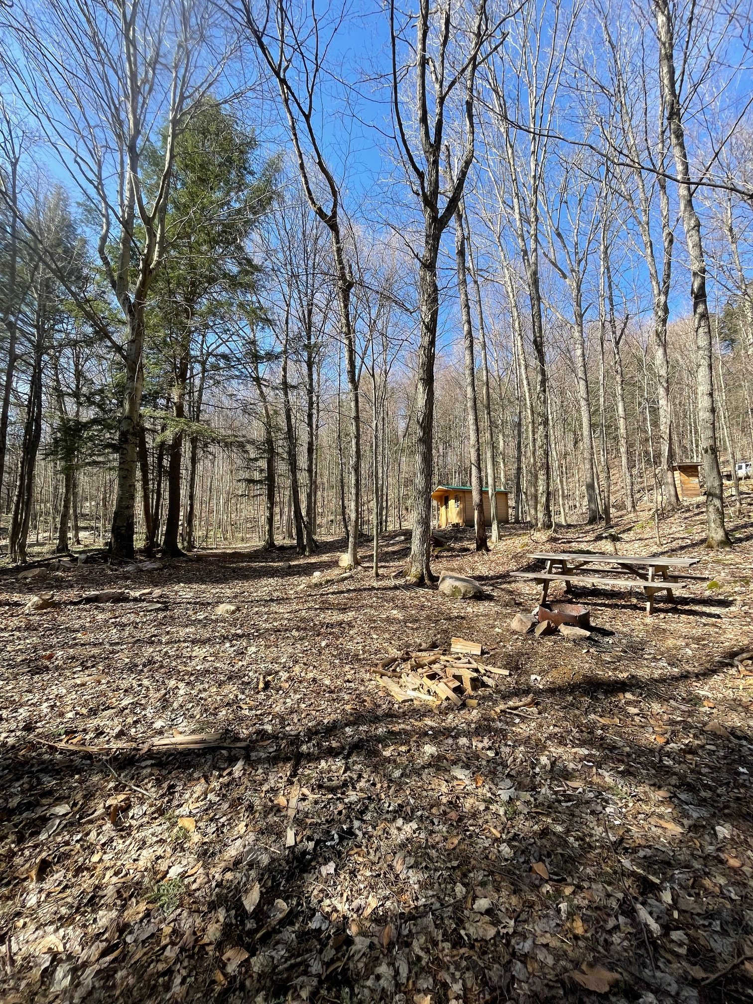 image3-9 – Limberlost Forest and Wildlife Reserve