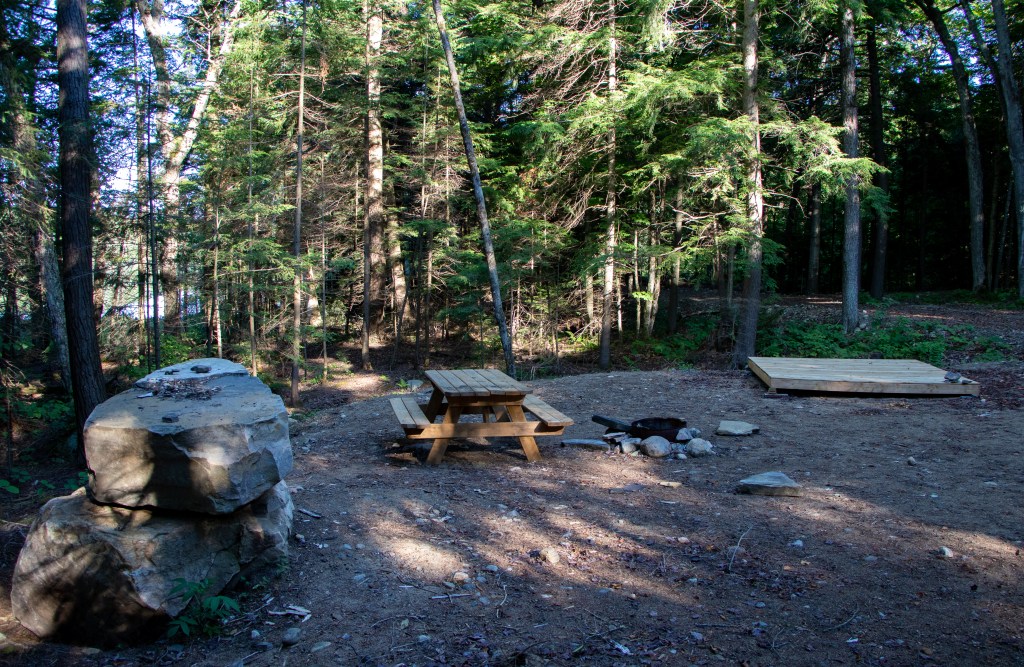 Lee North – Limberlost Forest and Wildlife Reserve