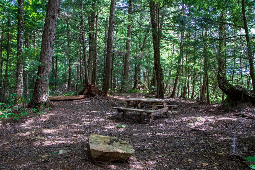 McReynolds & Eastall – Limberlost Forest and Wildlife Reserve