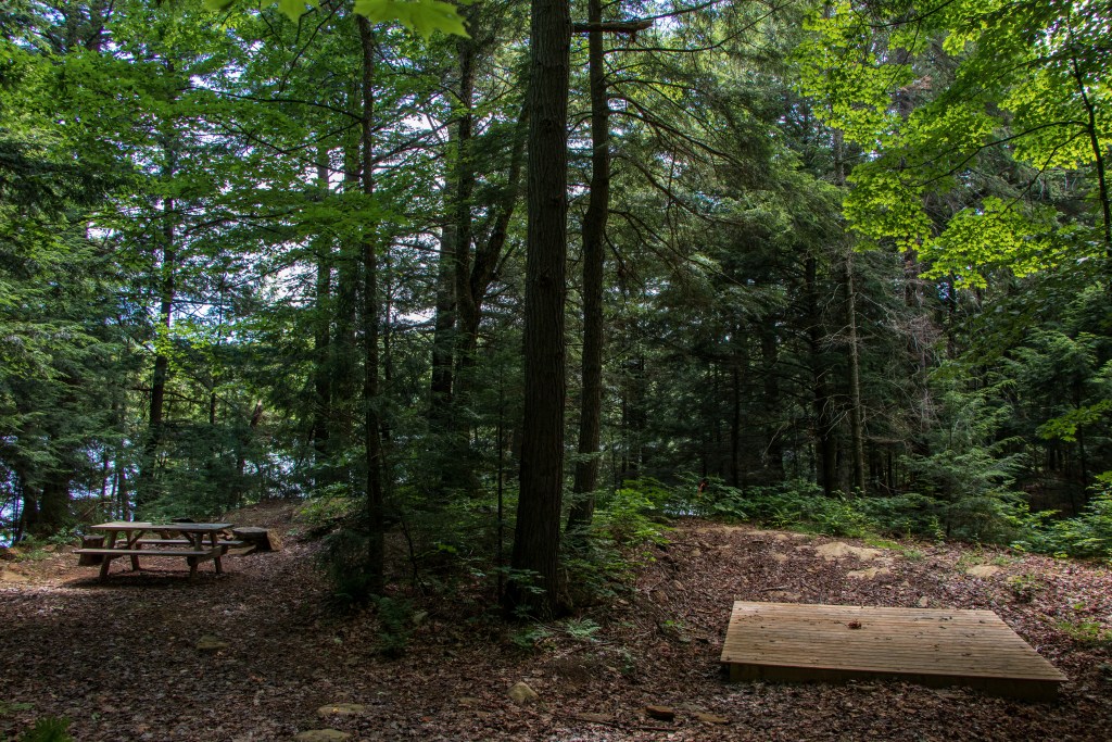 McReynolds & Eastall – Limberlost Forest and Wildlife Reserve