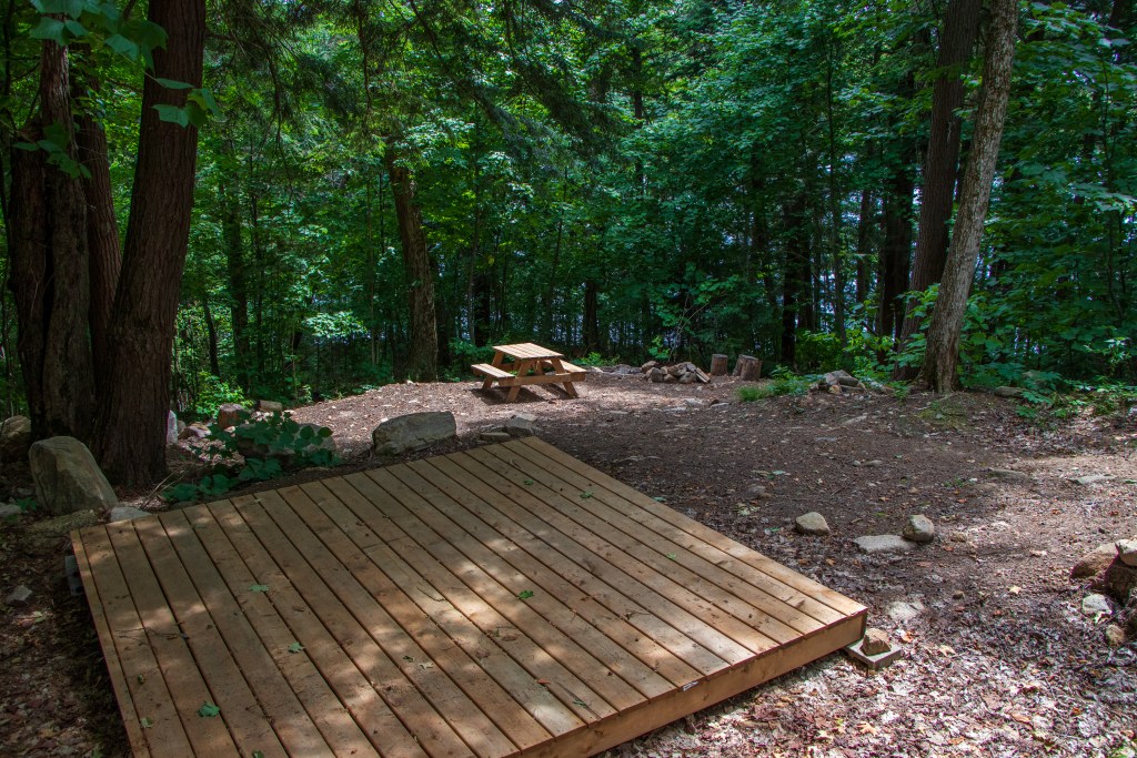 Solitaire – Limberlost Forest and Wildlife Reserve