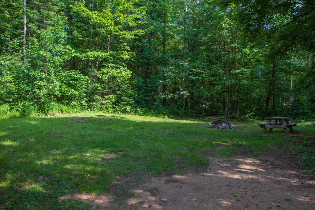 Buck North – Limberlost Forest and Wildlife Reserve