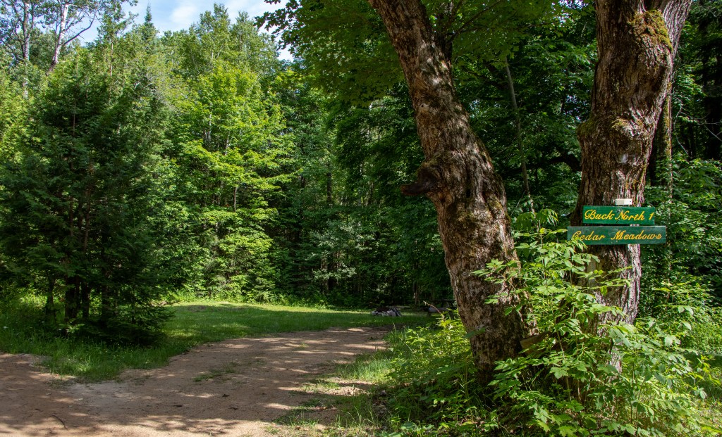 Buck North – Limberlost Forest and Wildlife Reserve