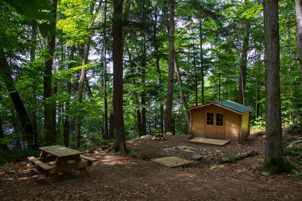 Solitaire – Limberlost Forest and Wildlife Reserve