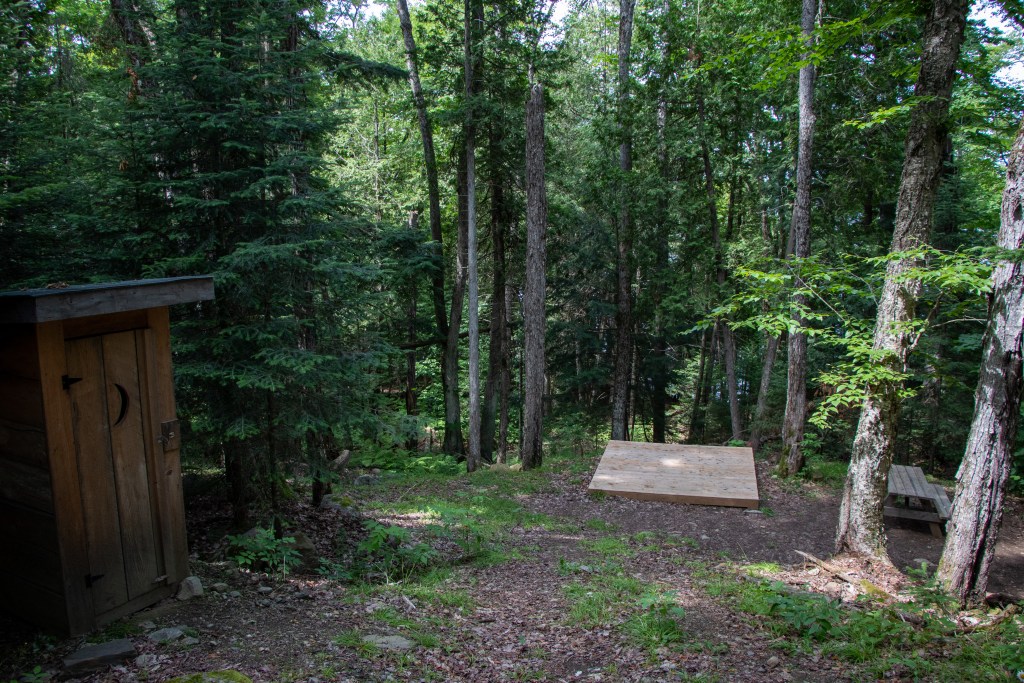 Solitaire – Limberlost Forest and Wildlife Reserve