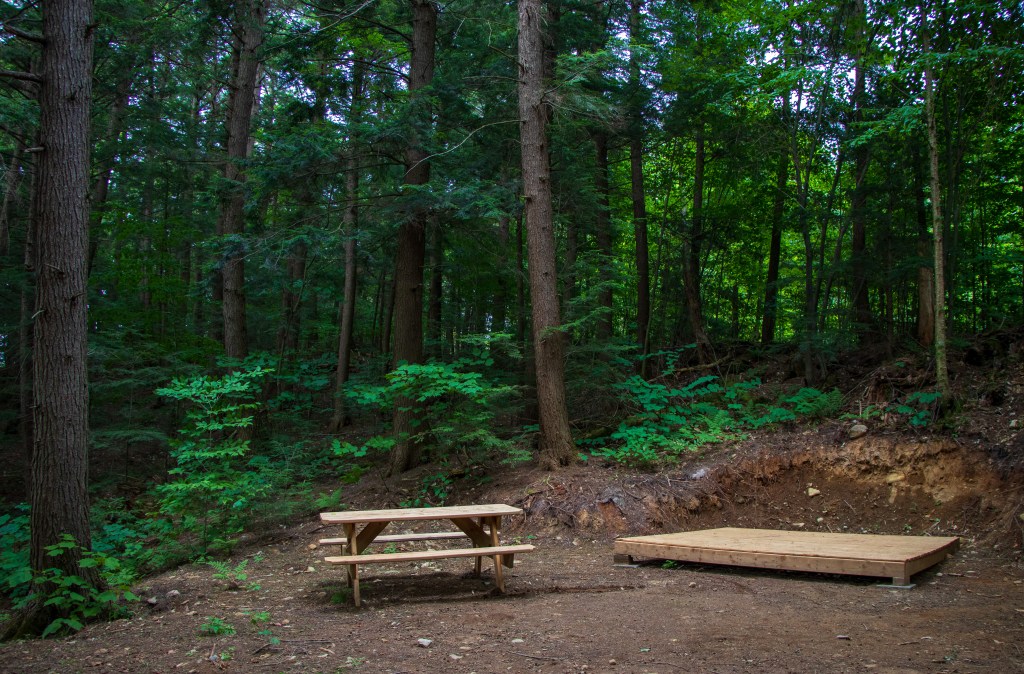 Buck South – Limberlost Forest and Wildlife Reserve