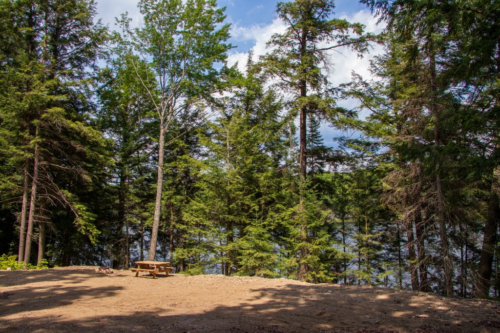 Lee South – Limberlost Forest and Wildlife Reserve