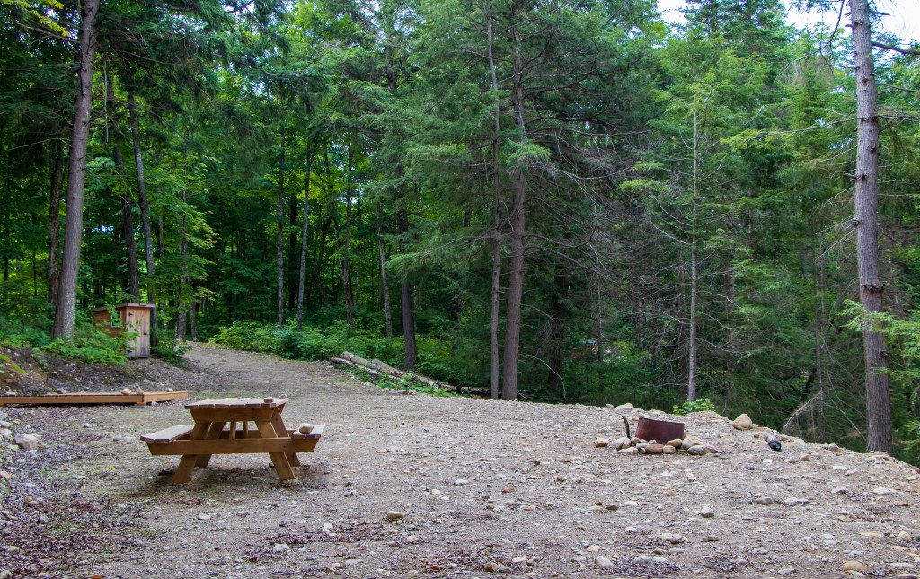 Lee South – Limberlost Forest and Wildlife Reserve