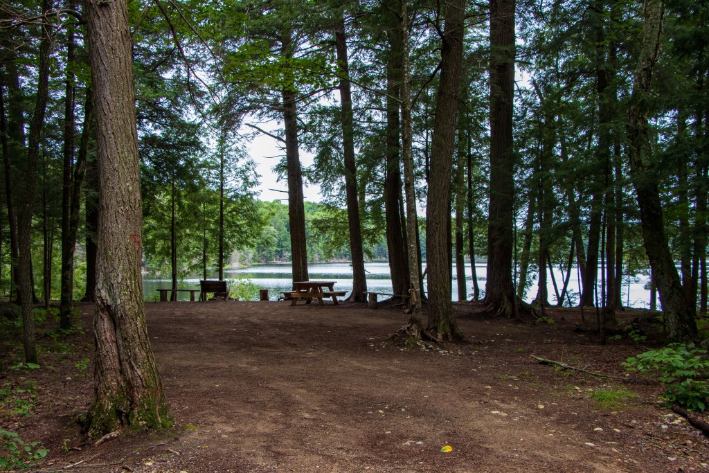 Lee North – Limberlost Forest and Wildlife Reserve