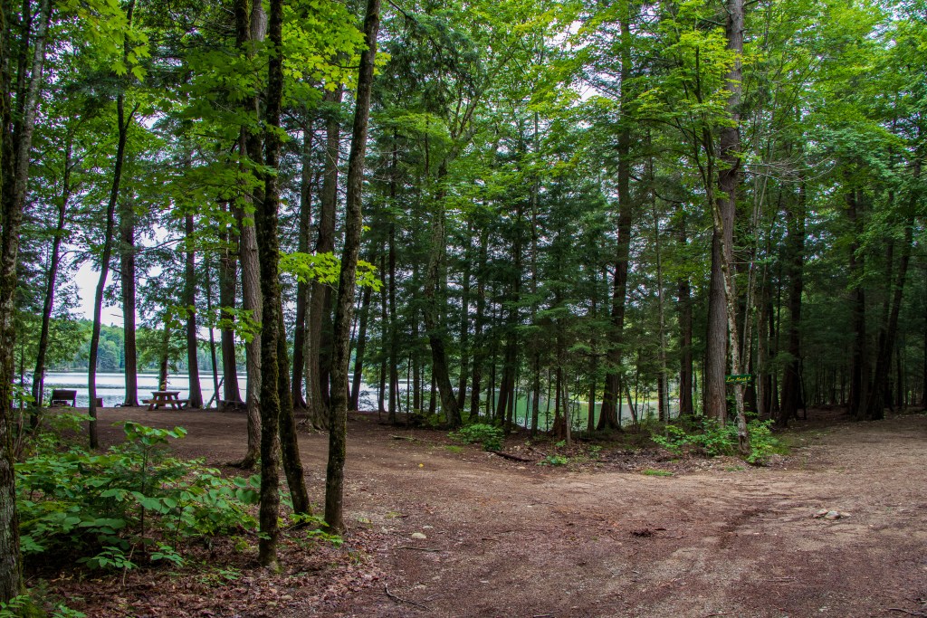 Lee North – Limberlost Forest and Wildlife Reserve