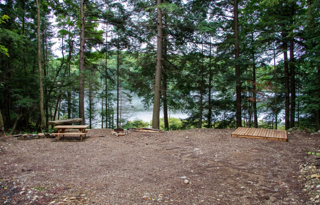 Lee North – Limberlost Forest and Wildlife Reserve