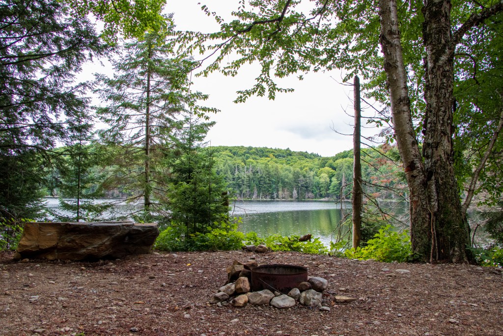 Lee North – Limberlost Forest and Wildlife Reserve