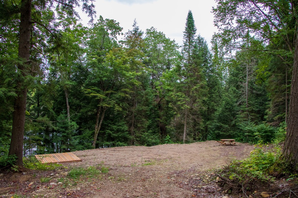 Lee South – Limberlost Forest and Wildlife Reserve