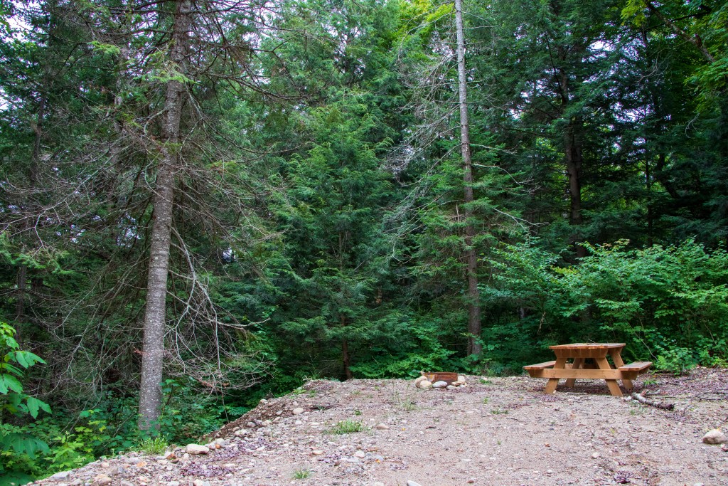 Lee South – Limberlost Forest and Wildlife Reserve