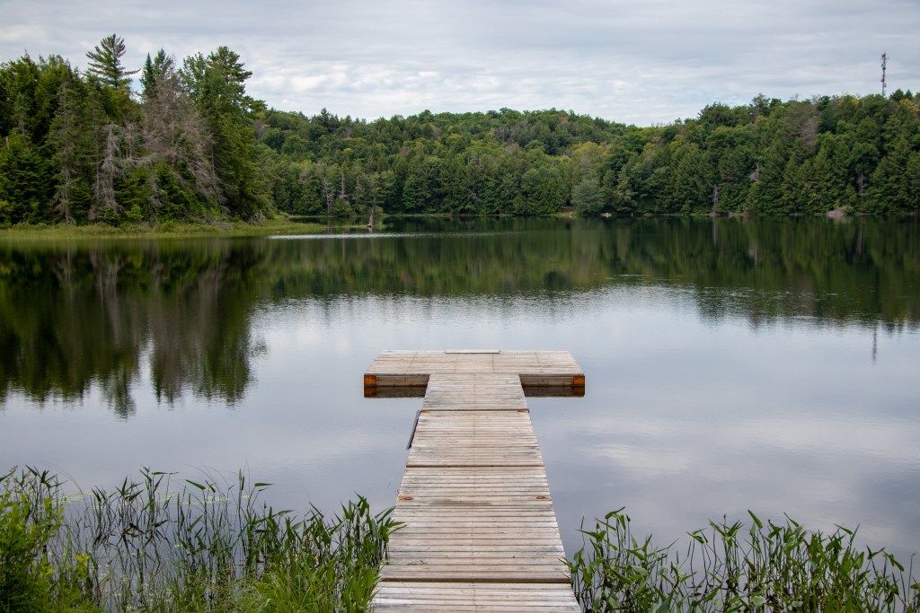 Outposts – Limberlost Forest and Wildlife Reserve
