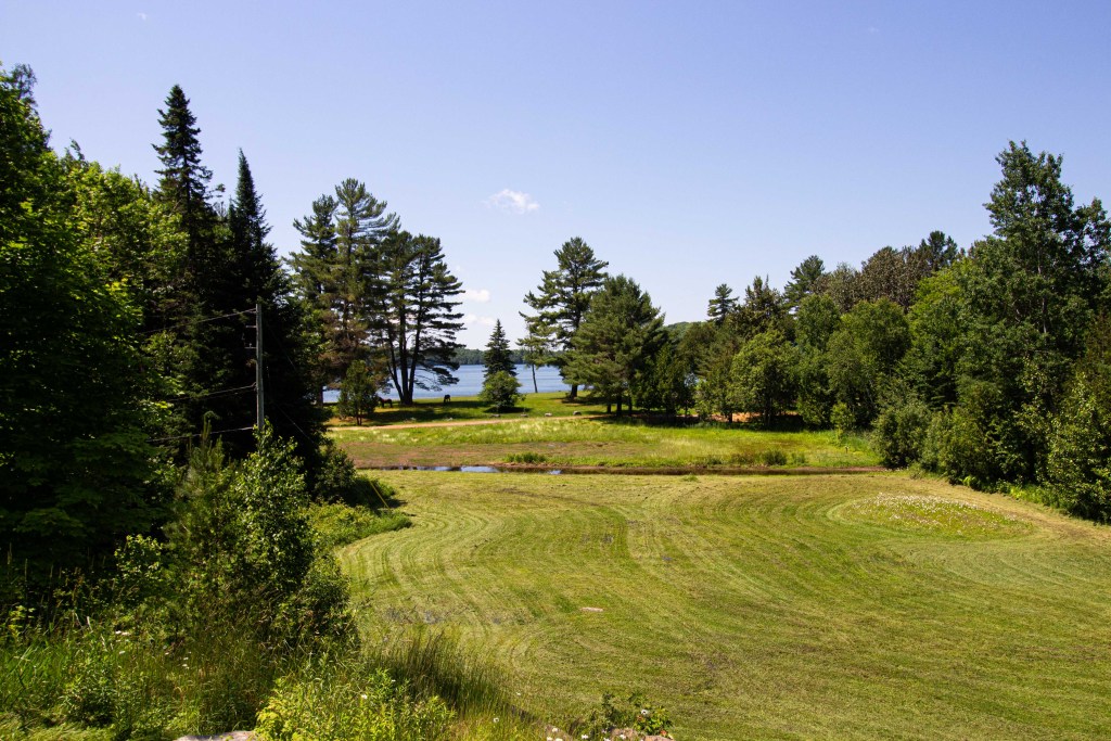 Lodges – Limberlost Forest and Wildlife Reserve