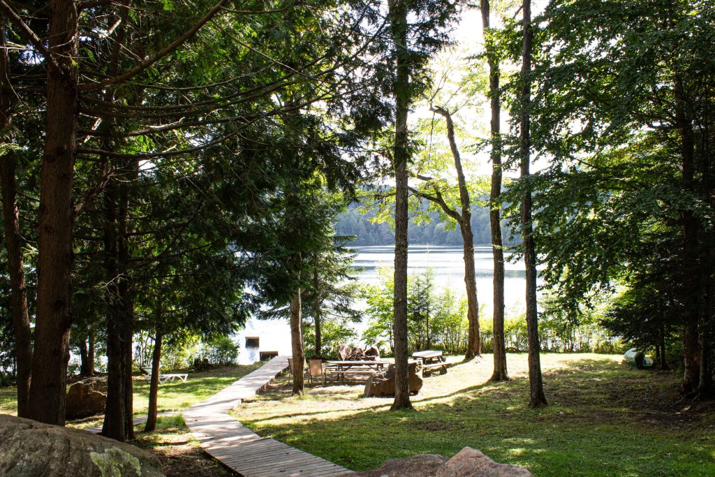 Lodges – Limberlost Forest and Wildlife Reserve